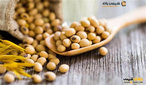 لسیتین سویا چیست؟ از خواص مهم و کاربرد های آن چه می دانید؟ جهان شیمی فیزیک