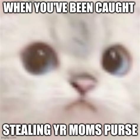 Youve Been Caught Imgflip