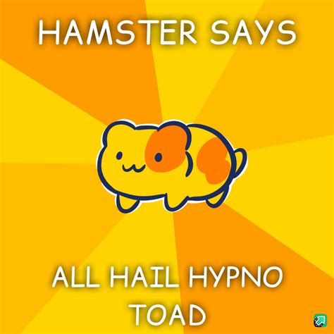 All Hail Hypno Toad Meme On Imgur