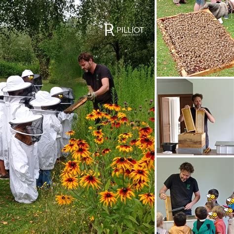 Récoltemielpilliot2024 Pilliot Assurances