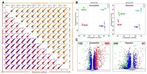 Statistical Analysis Of The Identified Proteins Using Perseus And Download Scientific Diagram