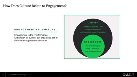 Gallup Culture Audit Transformation Model 2023pdf