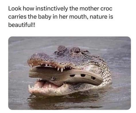 Dad Joke 9gag Dad Joke 9gag