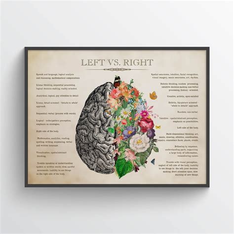 Left And Right Brain Function Anatomy Print Psychology Decor