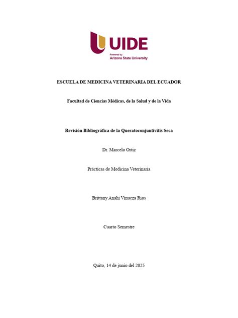 Revisión Bibliográfica De La Queratoconjuntivitis Seca Pdf