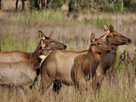 August 22nd Sunset Nature Walk And Tour On The Willits Bypass