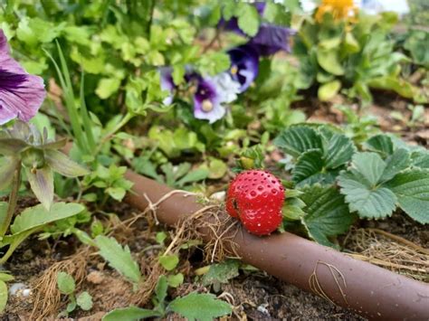 אתם יכולים לדמיין שיחה לאחר ראיון מלחיץ שנפתחת כך ״אתמול היה לך ראיון מצוין לפני שאשמע איך היה