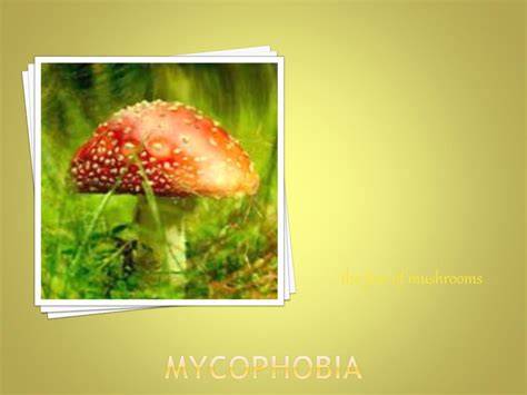 Ppt Phobias Powerpoint Presentation Free Download Id3138781