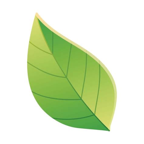 Sustainability Leaf Vector Art Icons And Graphics For Free Download