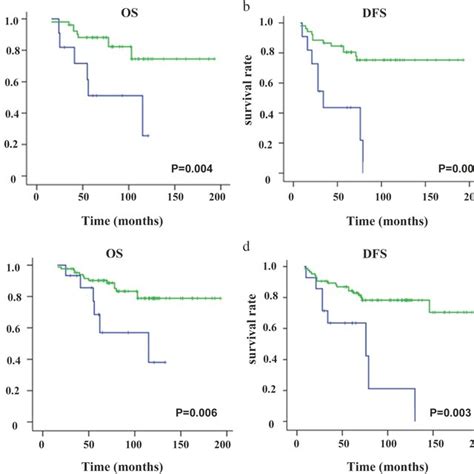 comparison of outcome between mbc and fbc patients within a molecular