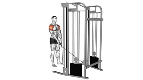 Top Exercises With Ez Bar Ez Curl Bar Workouts For Maximum Results Workout Guru