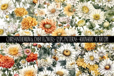 Chrysanthemum And Daisy Flower Patterns Graphic By Digital Paper Packs