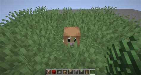 Diglet Minecraft Map