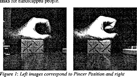 Figure 1 From Fast Recognition Of Postures For A Simplified Three Fingered Artificial Hand