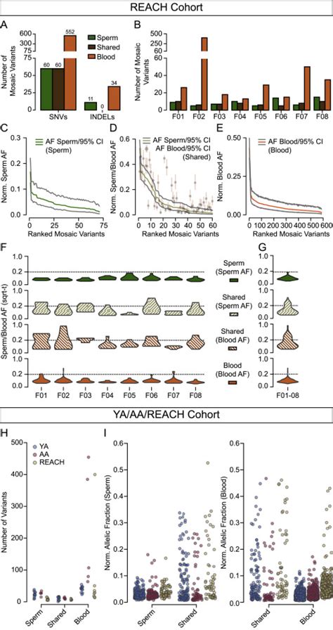 Developmental And Temporal Characteristics Of Clonal Sperm Mosaicism Cell