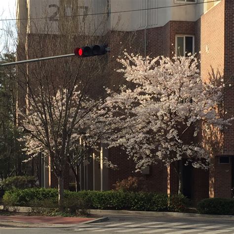 Twitter Facebook Google Pinterest