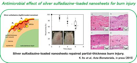 Takeoka Lab Nanosheet Group