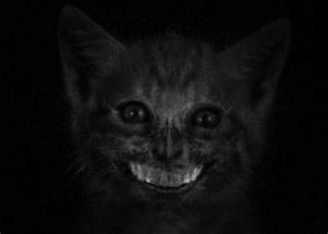 The Smiling Cat Creepypasta