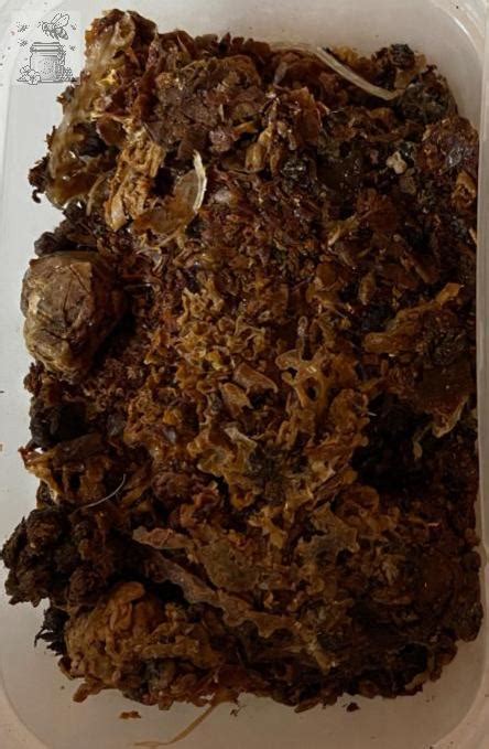 How To Make Water And Alcohol Based Propolis Extracts The Beekeeping Craft