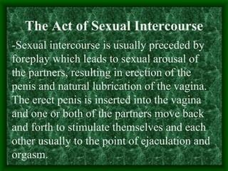 Sexual Intercourse Process Video