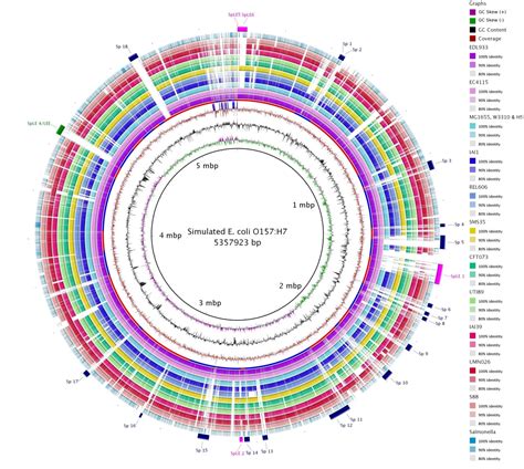 Awesome Genome Visualization
