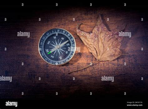 Black Compass As Instrument Beside A Dry Leaf On Wooden Texture Stock