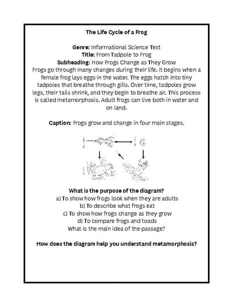 Analyzing Informational Text Features Grade 4 Reading Standard Ri47