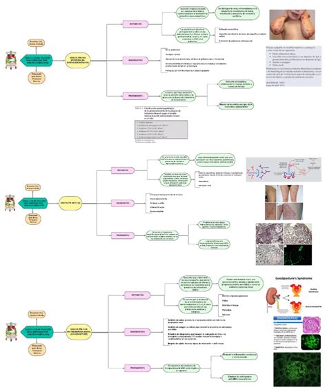 Vasculitis Inmunocomplejos Descargar Gratis Pdf Especialidades