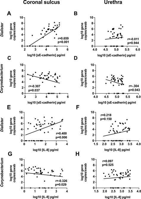 Associations Between Penile Bacteria Abundance And Immune Parameters At Download Scientific