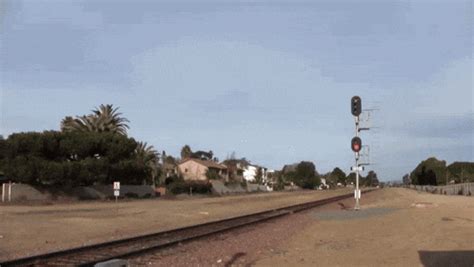 Train Trains  Train Trains Fast Train Discover And Share S