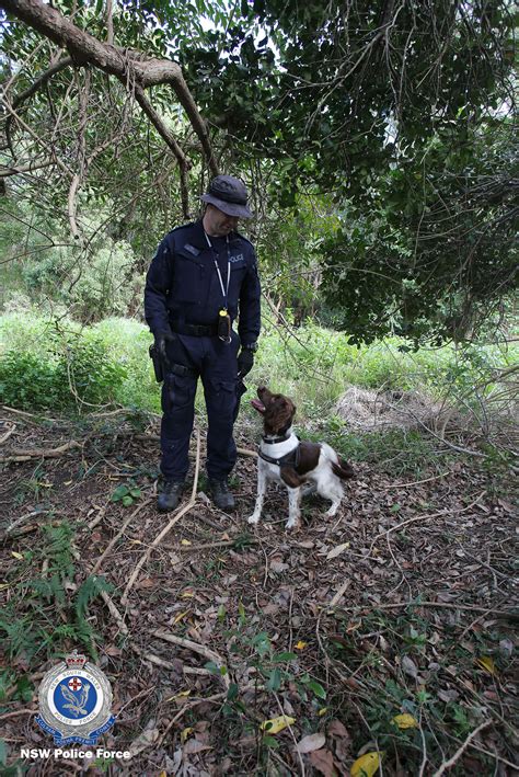 Remains Located At Byron Bay Identified As Missing Woman Thea Liddle The Echo