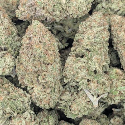 Shop Distro Buy Weed Online Canada And Best Extracts