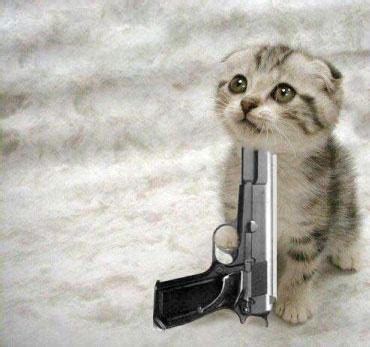 Latest Funny Pictures Funny Cats With Guns