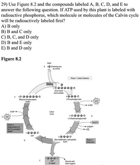 Get Answer 29 Use Figure 2 And The Compounds Labeled Abcd And E To