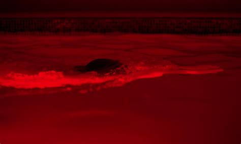 Auscaps Ray Nicholson Nude In Borderline