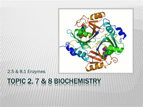 Enzyme Substrate Specificity