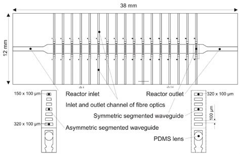 Schematic View Of The Microbioreactor With Exact Dimensions Download Scientific Diagram