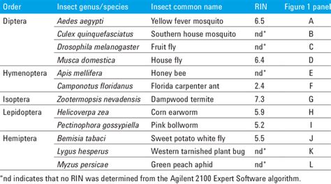 Rna Integrity Analysis Of Insect Total Rna With The Agilent 2100