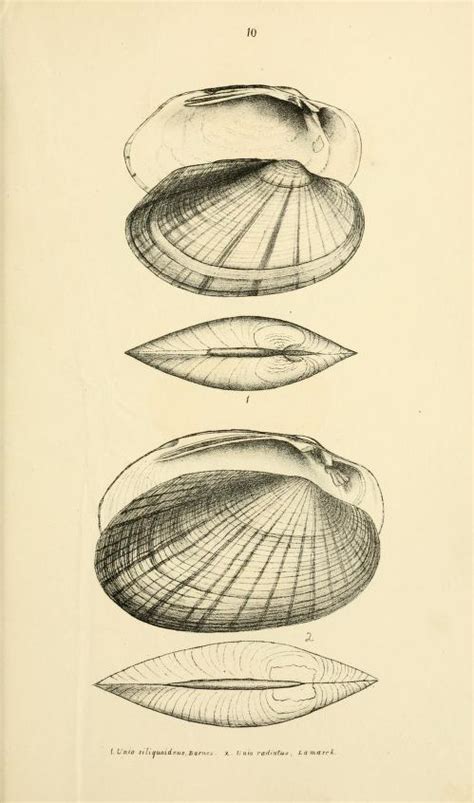 Alison Cutts Dralisoncutts Twitter