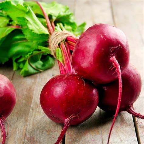 Ruby Queen Beet Beta Vulgaris Annies Heirloom Seeds