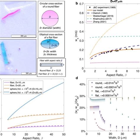 A Illustration Of The Global Microplastic Cycle B The Emitted Download Scientific Diagram