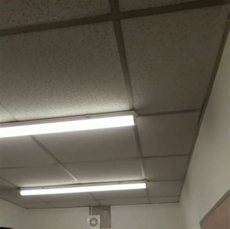 Installation Of Shaver Socket In Bathroom Aligned Electrical Services