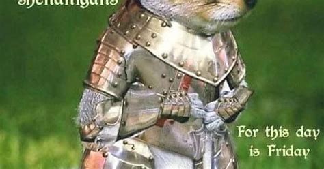 T Squirrel Album On Imgur