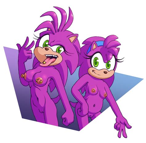 Sonia The Hedgehog And Violet Rose By Dorigreen Hentai Foundry