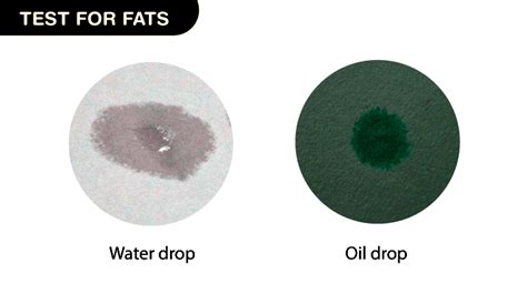 Test For Fats Types Experiment Procedure And Results