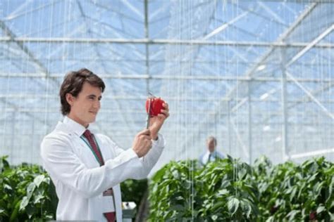 La Ciencia Y Tecnología Aplicada Al Campo Permite A México Ser Más