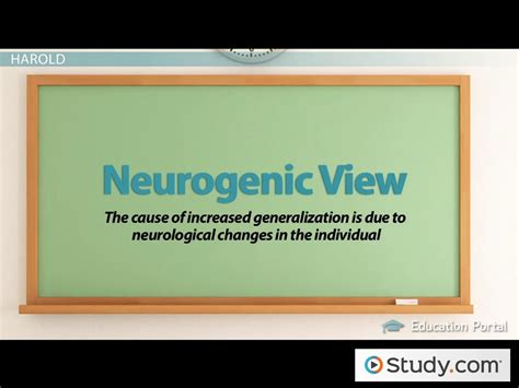 Harold And Stac Models Of Brain Activation And Aging Definition And Major Differences Lesson