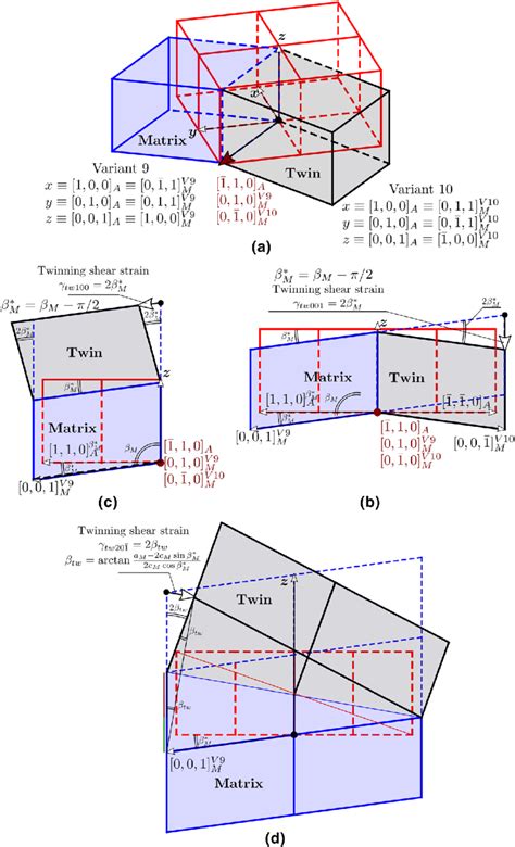 Transformation And Deformation Twins In The B19 0 Monoclinic
