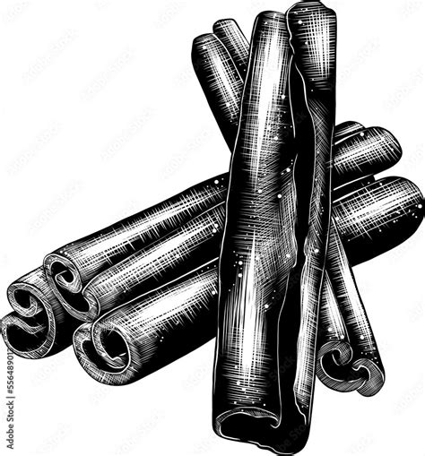 Png Engraved Style Illustration For Posters Decoration And Print Hand Drawn Sketch Of Cinnamon