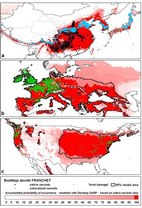Ecological Niche Model For Buddleja Davidii Based On Native Download Scientific Diagram